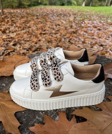 Pantalon Tom Marine | Pantalon Tom marine